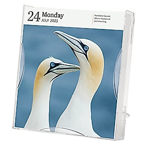 Audubon Birds Page-A-Day Gallery Calendar 2023: Hundreds of Birds, Expertly Captured by Top Nature Photographers