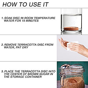 HUWLUIWA Brown Sugar Saver with Dinosaur Design, Sugar Softener For Food Storage, Terra Cotta Disc Sugar Keeper to keep Food Moisture, Set of 6 (Green Box)