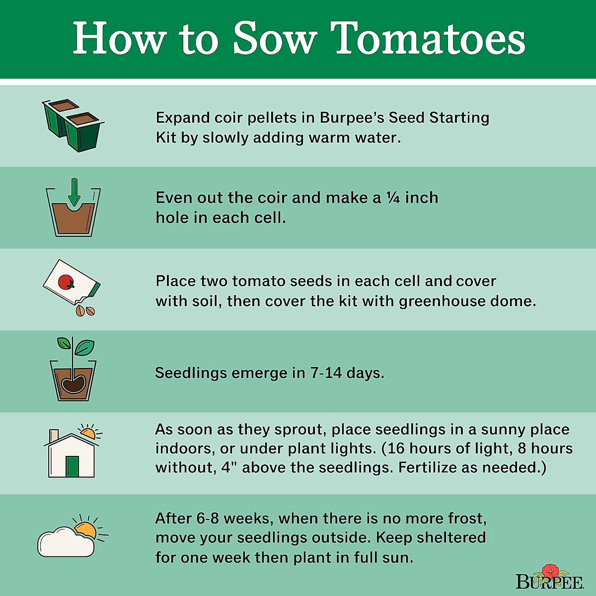 Burpee 61234E Big Boy Tomato, 125 seeds, Red