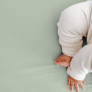 Newton Baby Mini Crib Fitted Sheets (2-Pack) | Organic Muslin Cotton, Ultra Breathable & Soft Baby Sheets, Machine Washable Baby Mattress Sheets, Fits Any Mini Sized Crib 24" x 38", Sage