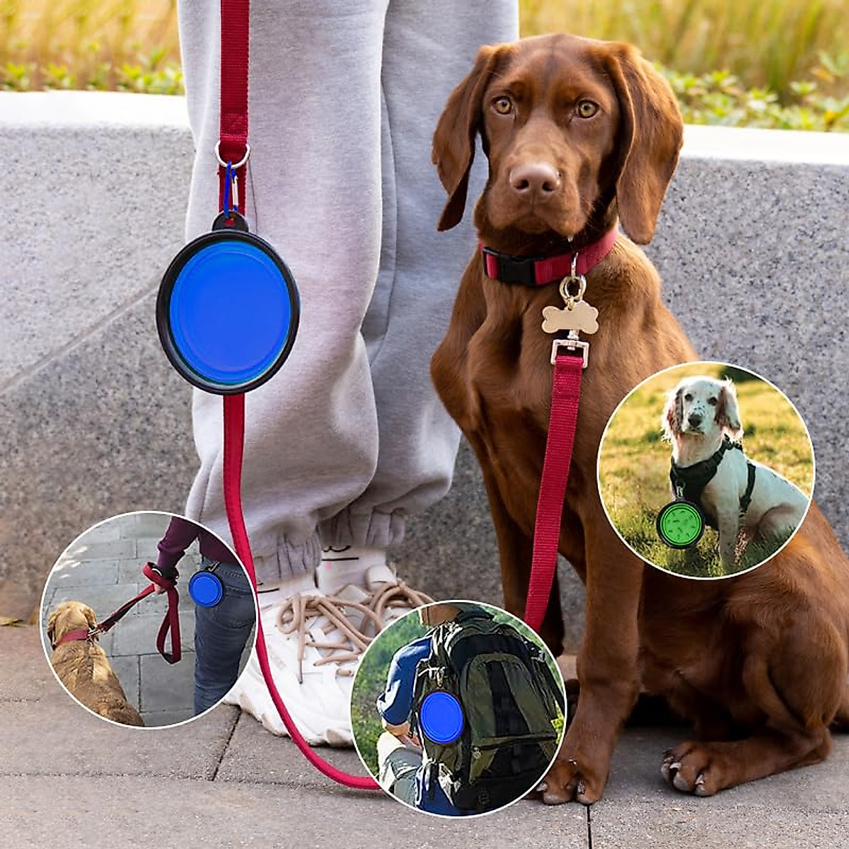 ARTECARE Portable Pet Travel Dog Bowls, 2 Pack Convenient Collapsible Dog Bowls, Small Pet Slow Feeder Design for Dogs Cats Feeding Watering with 2 carabiners
