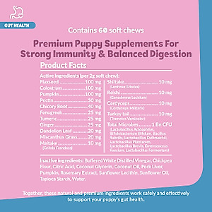 Snuggle Puppy Puppy Bites Gut Health Supplement - Dog Probiotics & Prebiotics for Gut Health - Pet Supplement and Supplies for Dog Health - Dog Digestive Health Support - 60 Soft Chews