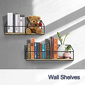 PETAFLOP Wall Shelves Bundle