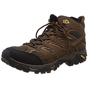 Merrell Men's Moab 2 Mid Gtx Hiking Boot, Earth, 11 M US