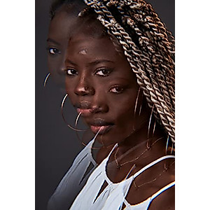 Freewell 82MM Linear Prism