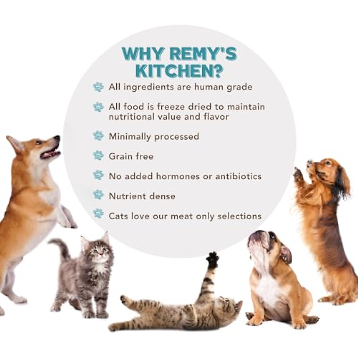 Remy’s Kitchen Sweet Potato Turmeric Freeze Dried Dog Treats USA Sourced and Small Batch Made - Human-Grade, All Natural Superfood Dog Snacks Without Artificial Preservatives, Grain Free - 3.5 oz