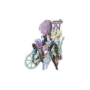 Paper D'Art 3D Pop Up Birthday Card