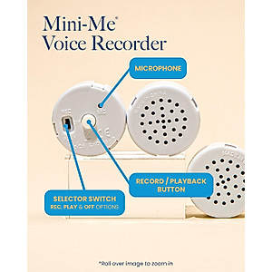 VoiceGift 60 Second Multi-Message Voice Recorder, Record Custom Messages for Plush Toy, Stuffed Bear Toy, Baby Doll Toy, and Pillow - 1 Pack