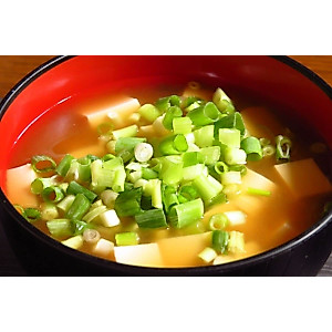 JapanBargain S-2045, Japanese Plastic Noodle Soup Bowl, 38-OZ