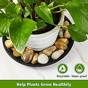 16 Pieces Plant Dish Plastic Plant Tray Round Thick Plant Pot Saucers Sturdy Flower Pot Saucer Black Drip Trays for Plants for Indoor and Outdoor Plants Home Garden (11.8 Inches in Top Size)