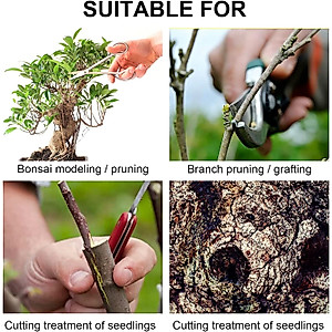 Bonsai Pruning Cutting Paste 3.5 oz. (100g) - Tree Wound Dressing