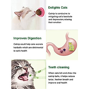 Johoxton 6 pcs Catnip Ball for Cats Wall, Catnip Wall Ball Catnip Toys for Indoor Cats Cat Nip Ball Licker Catnip Treats Silvervine Cat Toys for Indoor Cats with Catnip 3 Different Flavors (6 pcs)