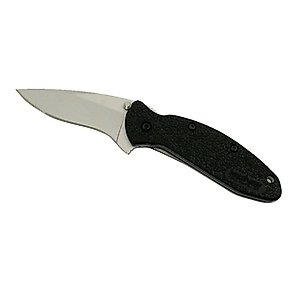 Kershaw Scallion Pocketknife, 2.4" Bead-Blasted 420HC Steel Drop Point Blade, Assisted Open with Flipper, Liner and Tip Lock, Single-Position Pocketclip,Black & Silver