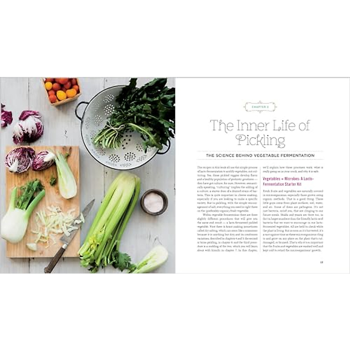 Fermented Vegetables: Creative Recipes for Fermenting 64 Vegetables & Herbs in Krauts, Kimchis, Brined Pickles, Chutneys, Relishes & Pastes