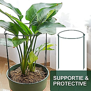 BLIKA 20 Pack Garden Plant Support Stake, 10" Wide x 16" High Half Round Metal Plant Stake, Plant Supports for Outdoor Plants, Outdoor Tall Plant Support Ring Cage, Plant Support Rings