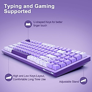 HUO JI Mechanical Gaming Keyboard USB Wired Compact with Number Pad, Purple Led Backlit, Red Switch, Detachable Type C Cable, 94 Keys for PC/Computer/Laptop, Purple and White