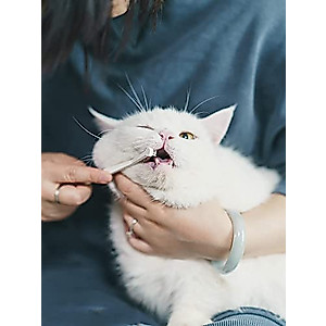 MIND UP Toothbrush Micro Head for Cats Made in Japan by Nyanko Care (1)