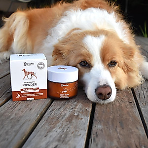 Kōrure Pets Beef Bone Broth Powder - All-Natural Dog Supplement for Bone Health and Digestion