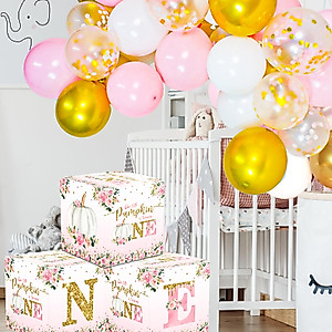 Fall Baby Shower Decorations,3Pack Little Pumpkin ONE Birthday Balloon Box Pink Autumn Flower Print for Fall Themed Photo Props Backdrop,1st Birthday Girl Decorations
