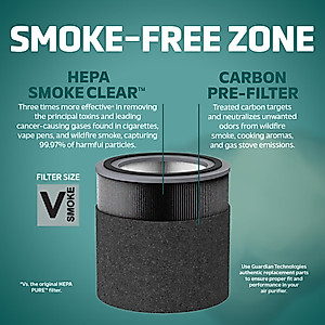GermGuardian Filter V Smoke Clear HEPA Genuine Air Purifier Replacement Filter, Removes 99.97% of Pollutants, Smoke Toxins and Odors, for AirSafe Series and AC151, Black/Gray, FLT151SM