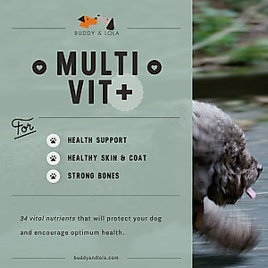 Multivitamin For Dogs Advanced Daily Supplements To Improve Dog Health Multivitamins, Nutrients, Calcium, Digestive Enzymes and Antioxidants 180 Chicken Liver Taste Chewable Tablets
