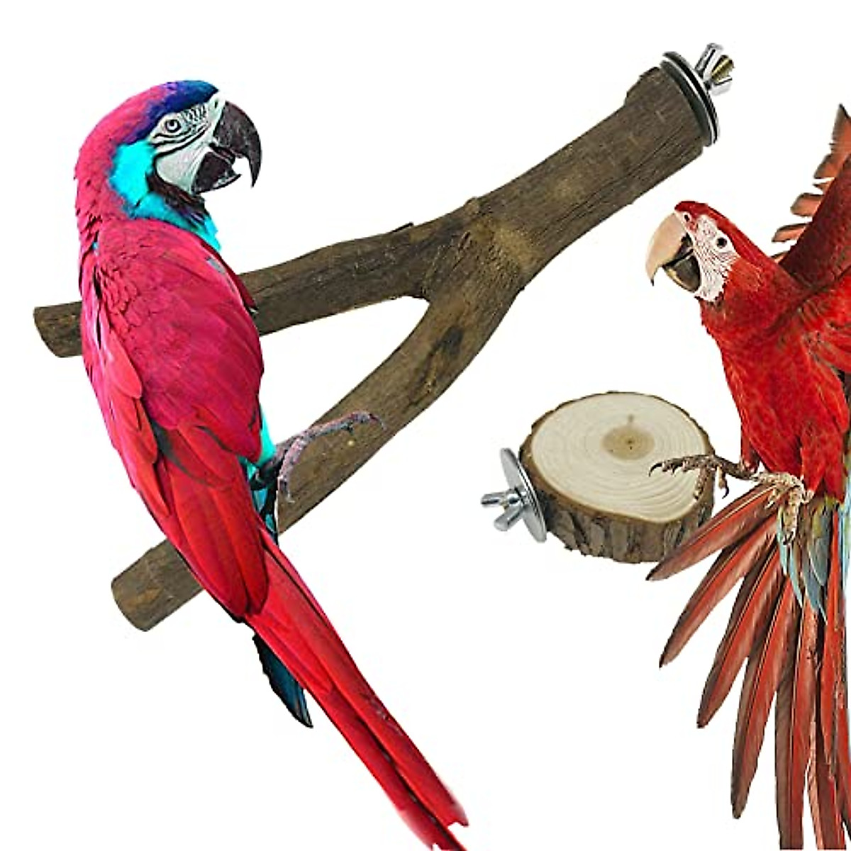 Allazone 10 PCS Natural Wood Bird Perch Stand, Bird Parrot Perch Stand Set, Wooden Parrot Perch Stand Perch Platform Cage Accessories for Parrotlets Cockatiels Budgies Parakeets