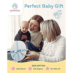 Gedebey Baby Fruit Pacifier Feeder - 2 Pack Silicone Fruit Teethers for Babies | Baby Food Pacifier Feeder | Baby Silicone Feeder for Infants | Baby Feeders for Baby Food Teethers | Baby (Blue&Green)