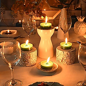 Zest Candle 12-Piece Tealight Candles, Mega Oversized Hunter Green s