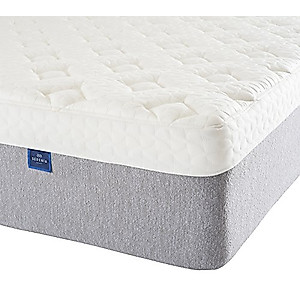 Serenia Sleep 14 Inch Quilted Sculpted Plush Gel Memory Foam Mattress -Queen