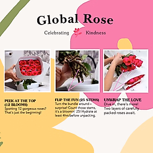 Red Roses- 50 Fresh Flowers- Beautiful Gift (OM)