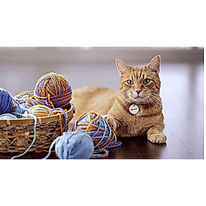 9Lives Cat Plus Care Dry Food 12oz #13291, 12 Ounce (Pack of 1), Multicolored