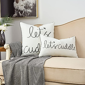 Sanmetex Let's Cuddle Decorative Lumbar Pillow Cover 12x20 Inches, Embroidery Rectangle Grey Throw Pillow Case for Bed, Bedroom, Livingroom. (30x50cm).