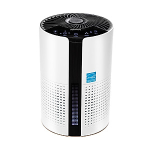 Kenmore PM1010 Air Purifiers for Bedroom Up to 348 Sq.Foot with H13 True HEPA Filter, Child Lock, Sleep Mode for Small Rooms