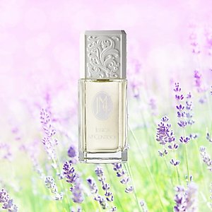 Jessica McClintock Eau De Parfum Spray 3.4 Ounce / 100 Ml for Women, 3.4 Fl Ounce