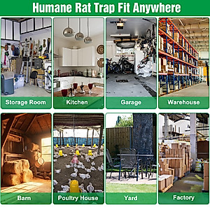 2 Packs Humane Rat Trap Outdoor, Wanqueen Humane Mouse Traps Indoor, Small Rodent Chipmunk Squirrel Trap and Other Live Animal Cage Catch and Release