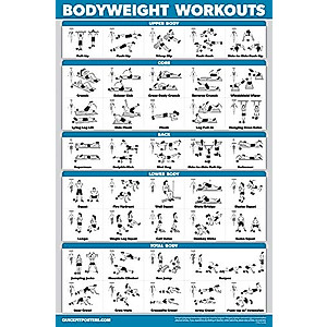 11 Pack - Exercise Poster Set: Dumbbell, Suspension, Kettlebell, Resistance Bands, Stretching, Bodyweight, Barbell, Yoga, Exercise Ball, Muscular System, Medicine Ball (LAMINATED, 18" x 24")