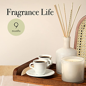 Lafco Reed Diffuser, Dining Room Celery Thyme, 15 Fl Oz