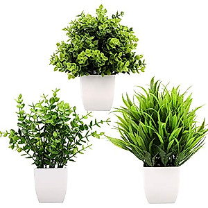 GREENTIME 3Pack Mini Fake Plants in Pots,Artificial Plastic Eucalyptus Plants,Wheat Grass Potted Faux Plants Indoor for Office Desk Coffee Table Bathroom Bedroom Home Decorations