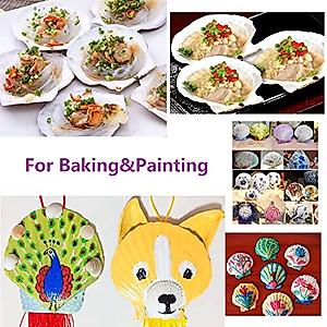 Giftvest 10PCS Sea Shells White Scallop Shells for Crafts Baking Cooking Serving Food, 4-5 inch Large Natural Seashells for DIY Crafts Seashell Beach Decorations for Home Decor