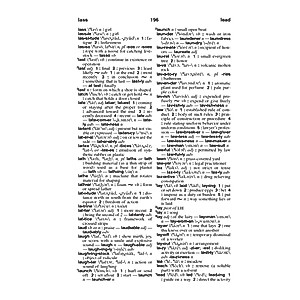 Webster's American English Dictionary, New Edition