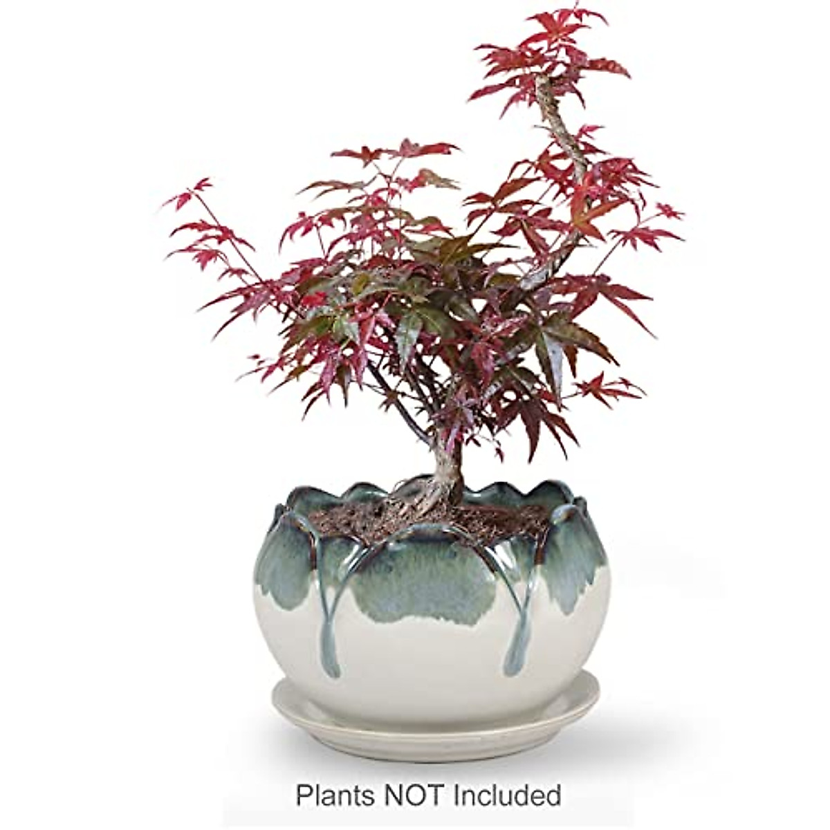 Dahlia 5.5'' Inch Rustic Drip Glazed Ceramic Planter/Succulent Pot/Plant Pot w. Saucer/Tray