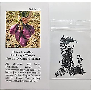 David's Garden Seeds Onion Long Day Red Long of Tropea (Red) 200 Non-GMO, Heirloom Seeds