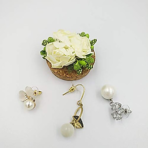 Vivixin 1080pcs Earring Backs, Earring backings, Earring Safety Back Pads backstops Stopper, Clear Rubber Bullet Shape Butterfly Plastic Secure Earring kit (10styles)