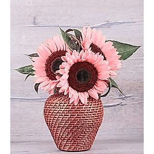 100pcs Pink Sunflower Seeds for Planting, Heirloom and Non-GMO Seeds, Easy to Plant and Grow, Outdoor Garden and Bonsai Plants