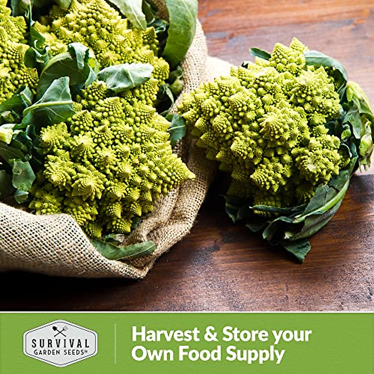 Survival Garden Seeds - Romanesco Broccoli for Planting - Packet with Instructions to Plant and Grow Delicious & Beautiful Fractal Broccoli Heads Your Home Vegetable Garden - Non-GMO Heirloom Variety
