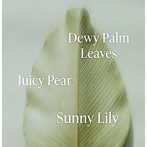 Saltair - Body Lotion (Lush Greens) - 2 Pack