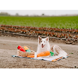 ZippyPaws Jigglerz - Zippy Paws Dog Toy for Large and Small Dogs, Squeaky Plush Tug Toy with No Stuffing, Squeaky Veggie Themed Interactive Dog Toys with Crinkle Head and Tail, Pepper