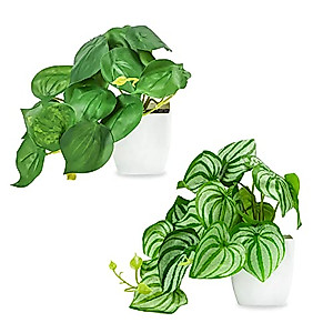 CEWOR Fake Plants 2 Packs Artificial Plants Small Plants Artificial Decor for Home Bedroom Aesthetic Living Room Bathroom Farmhouse Decor Indoor