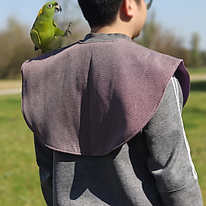 Parrot Anti-Scratch Shoulder and Arm Protector, Bird Diaper Durable Denim Parrot Training Pads for Parakeets Cockatiels Conures Macaws Lovebirds Finches, Anti-bite Protective Shawl Arm Guard