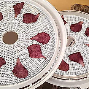 (8 Pack) Round Silicone Dehydrator Sheets, Dostk Premium Non Stick Silicone Mesh for Fruit Dehydrator , Dehydrator Tray Liner Reusable (Round 13" Diameter)